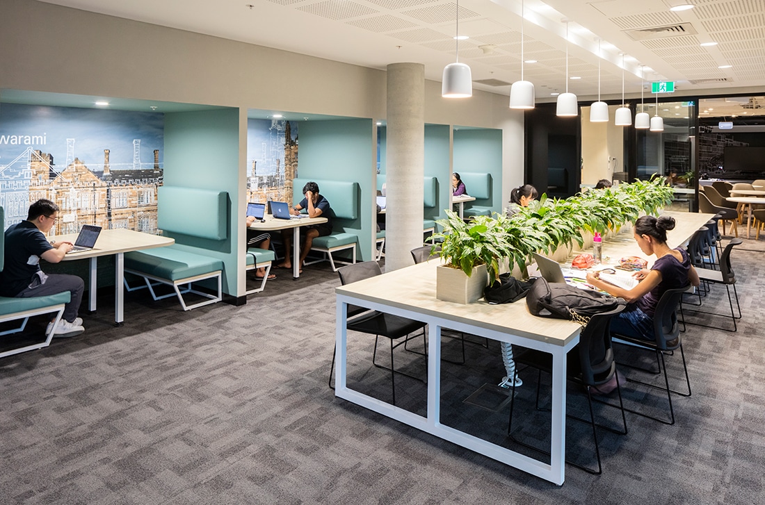 Project - The Regiment at the University of Sydney | Commercial