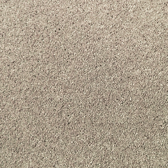 Lush Carpet Cashmere Touch – Signature Floors Residential